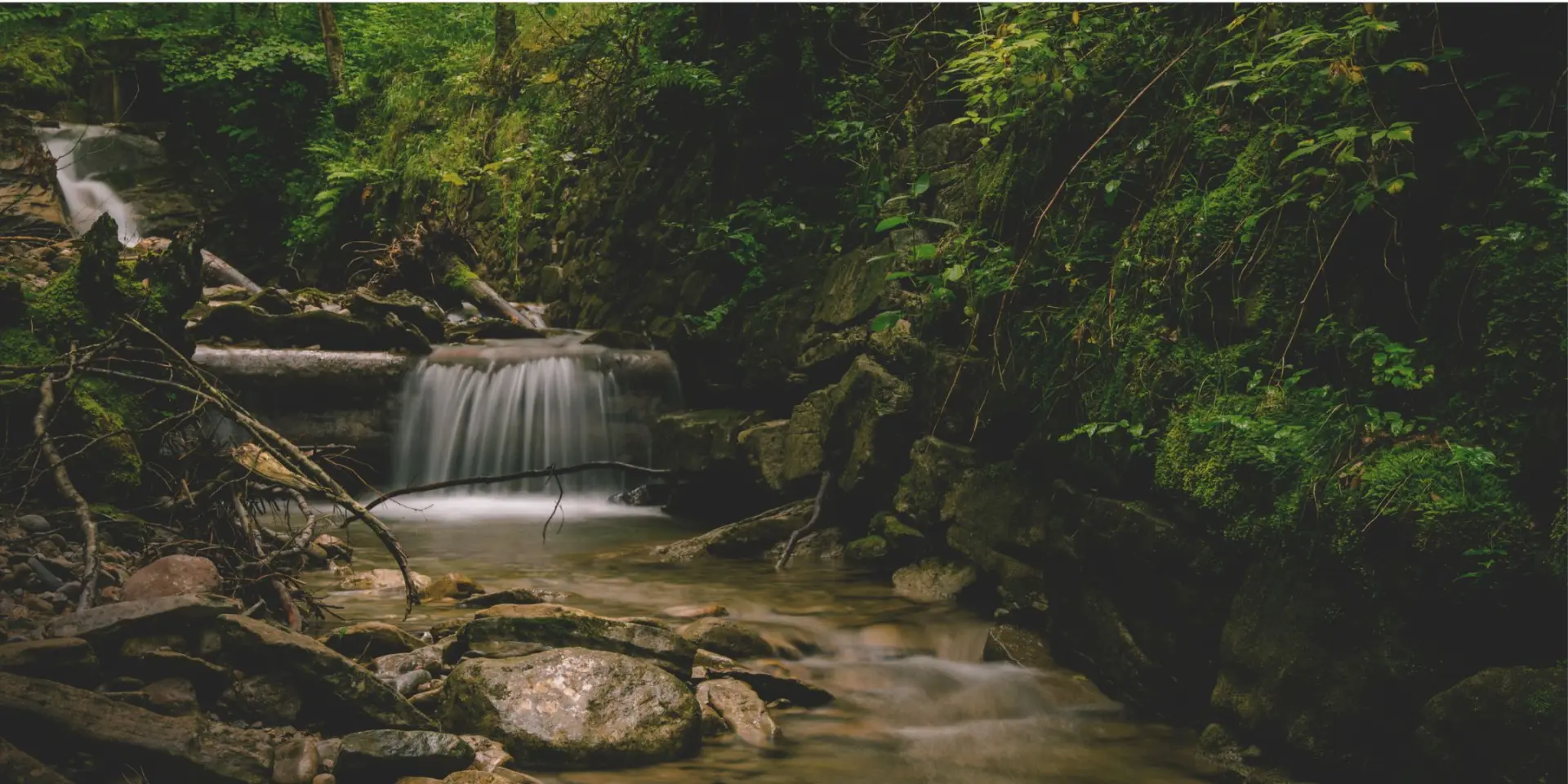 Christian Center of Park City (CCPC) | Social Services Nonprofit